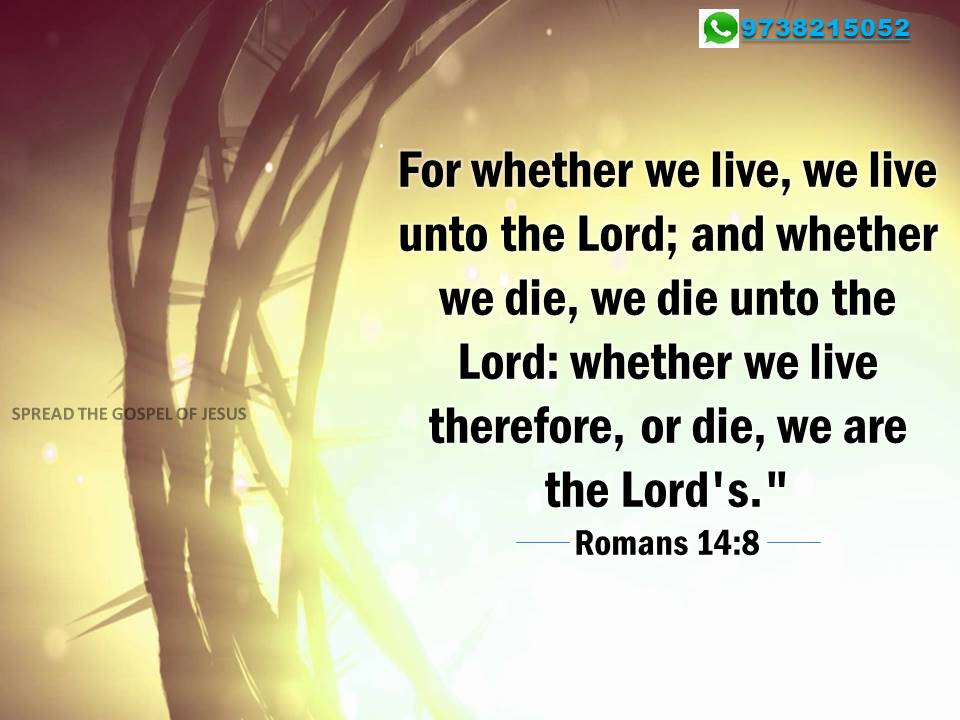 28 English Christian Promise Card Designs by Spread the Gospel | Free ...