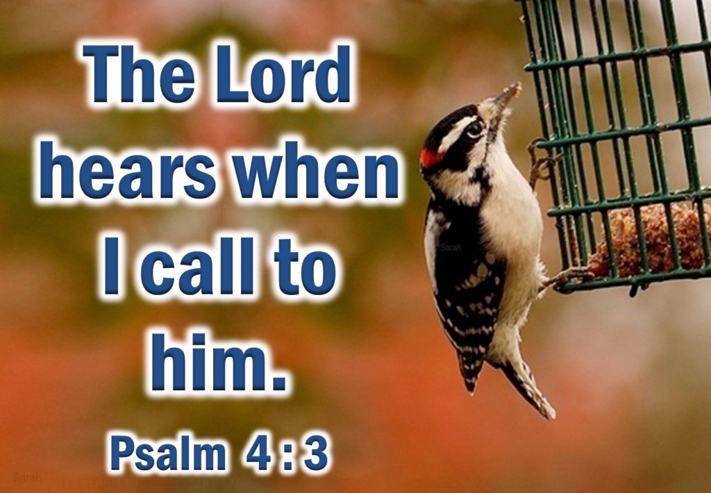 72 English Christian Promise Card Designs by Andrews Singh | Free ...