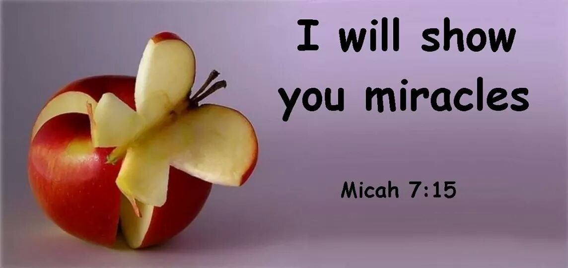 91 English Christian Promise Card Designs by ECI Good Sheperd Church ...