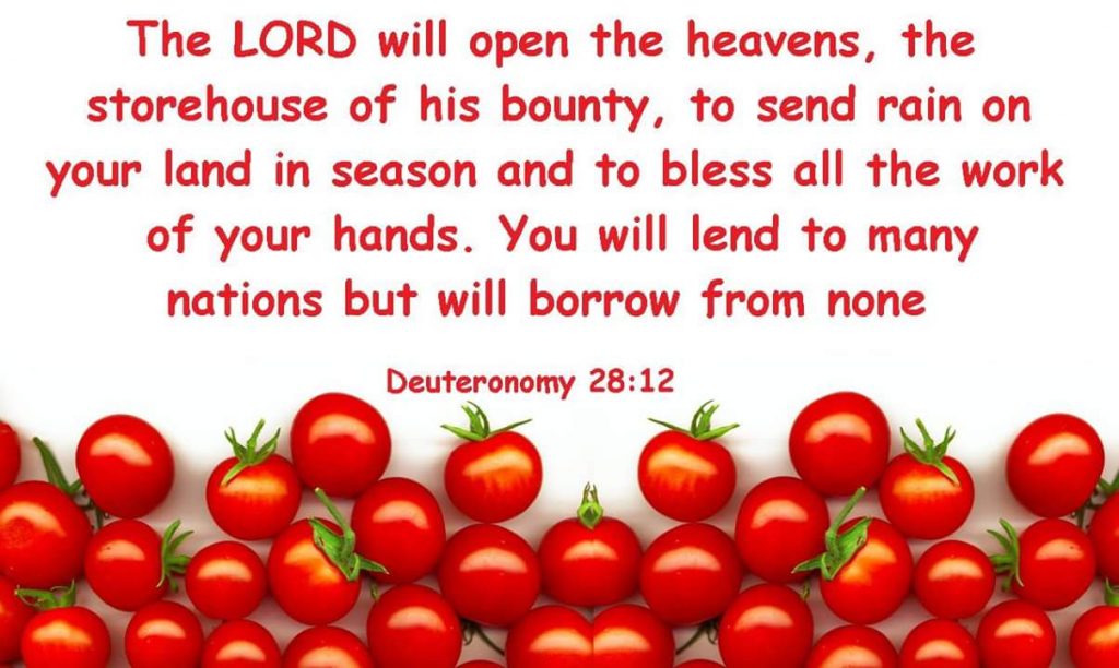 90 English Christian Promise Card Designs by ECI Good Sheperd Church ...