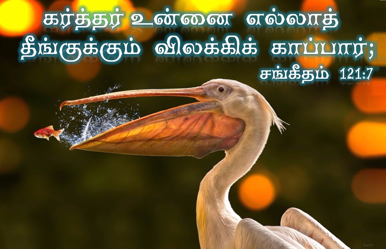 Free-Tamil-Christian-Wallpapers-1-16 | Free Christian Resources