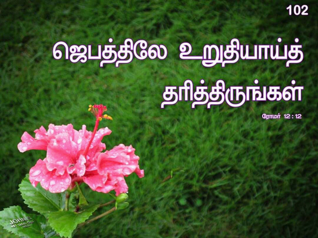 Free-Tamil-Christian-Wallpapers-101 | Free Christian Resources