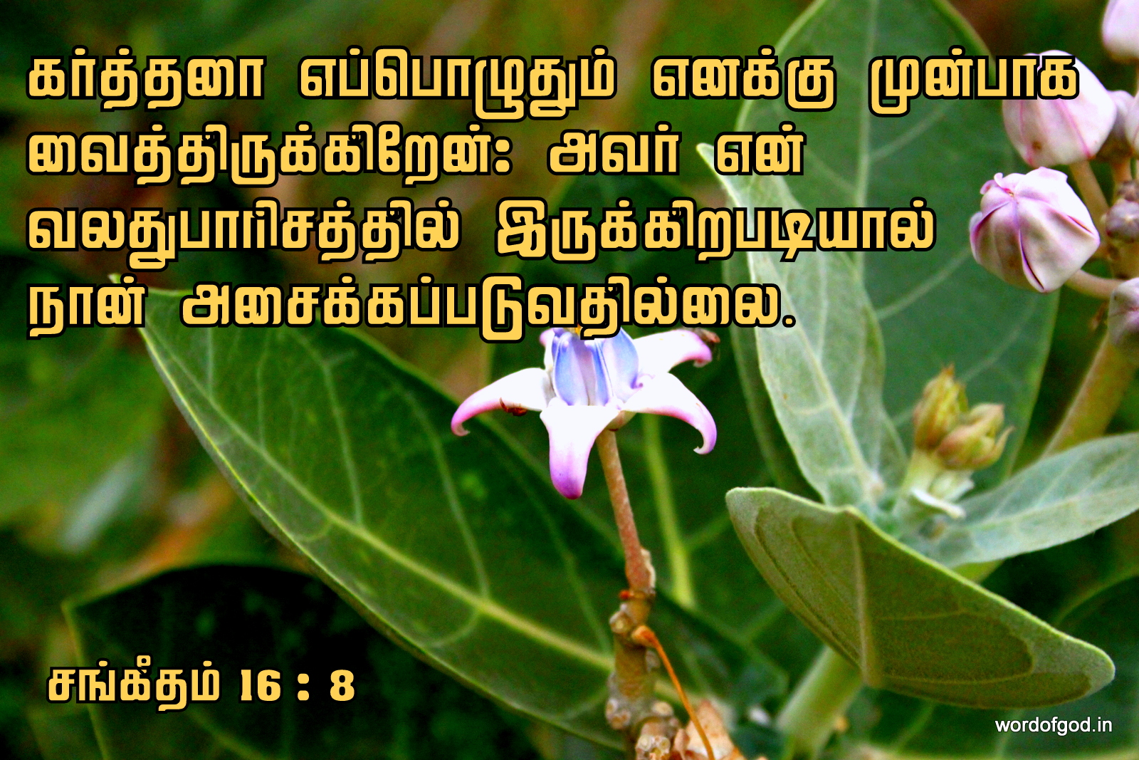 4 Tamil Christian Wallpapers by Cathie Simon | Free Christian Resources
